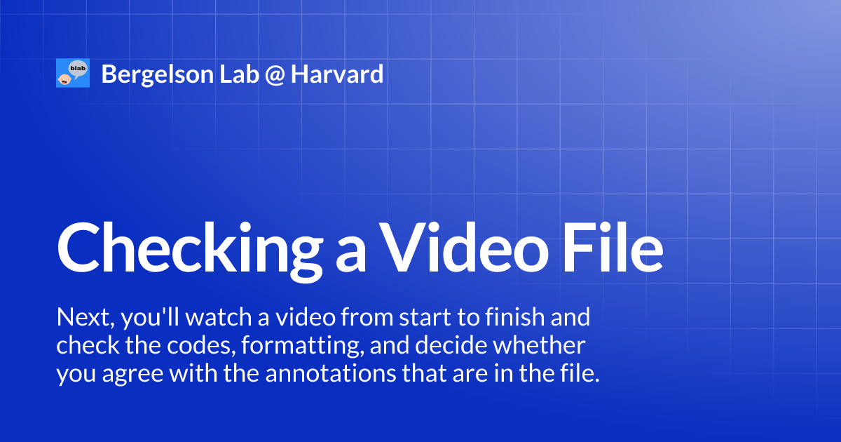 Checking a Video File | Bergelson Lab @ Harvard